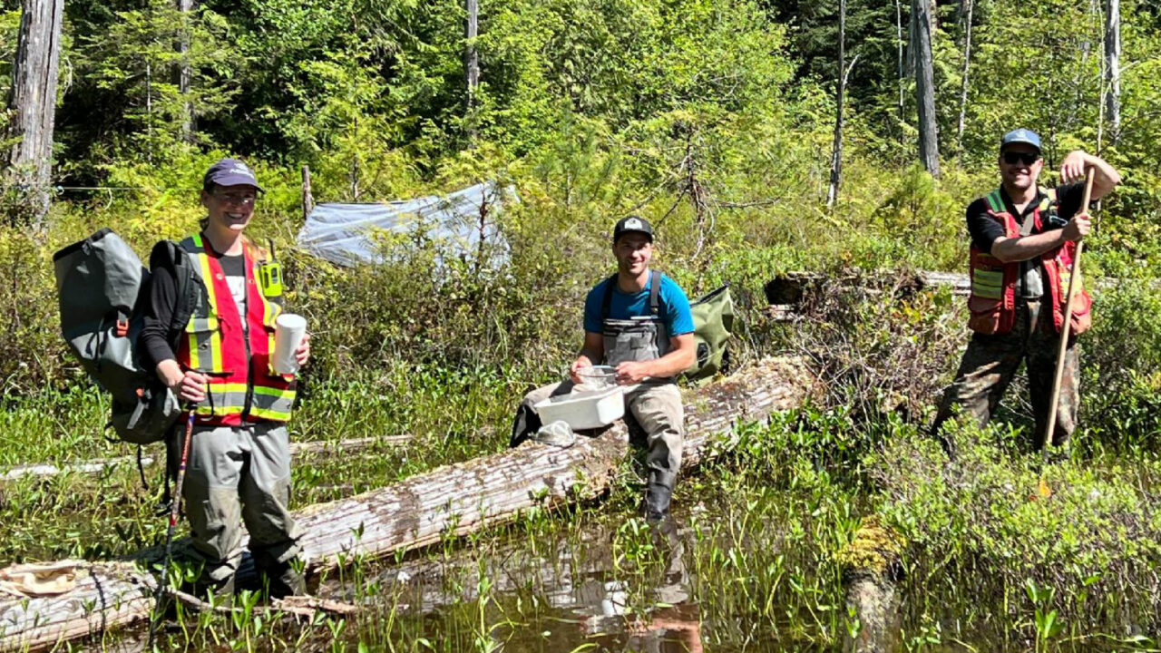 About Us - Azimuth Group