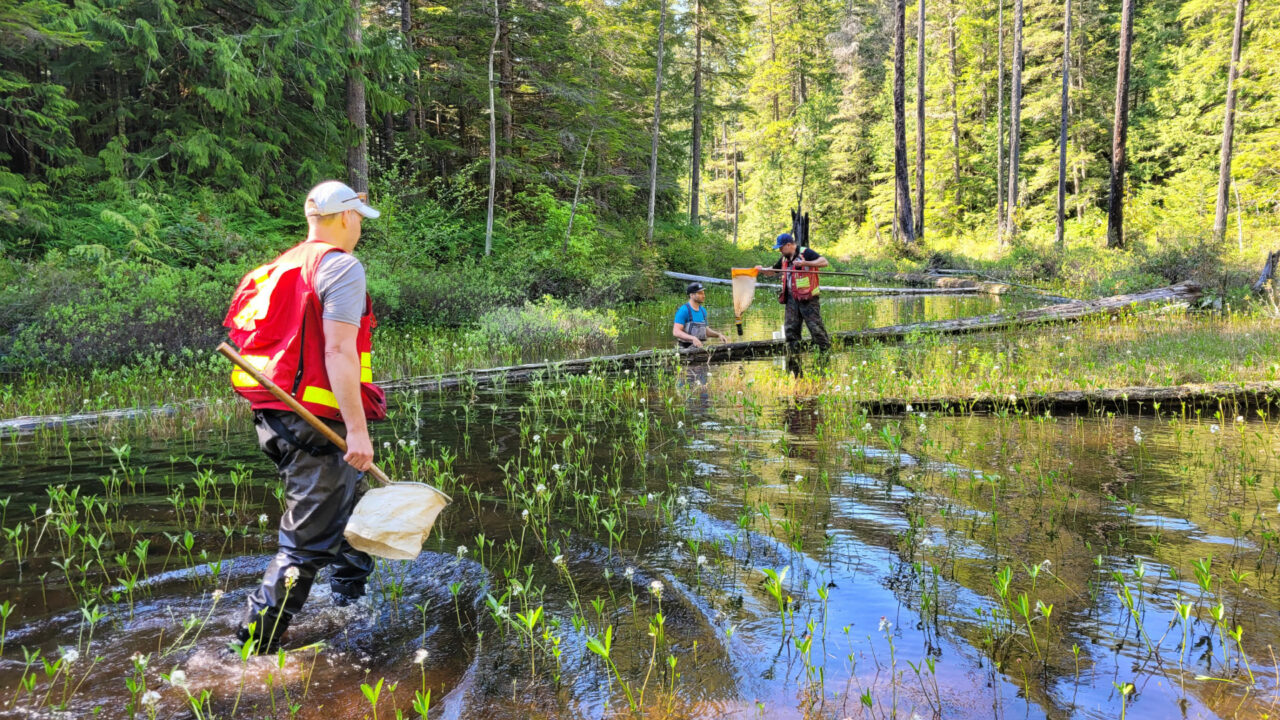 About Us - Azimuth Group